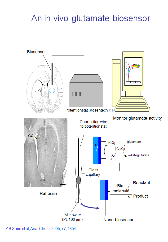 Bio-Sensors and Chemical Sensors